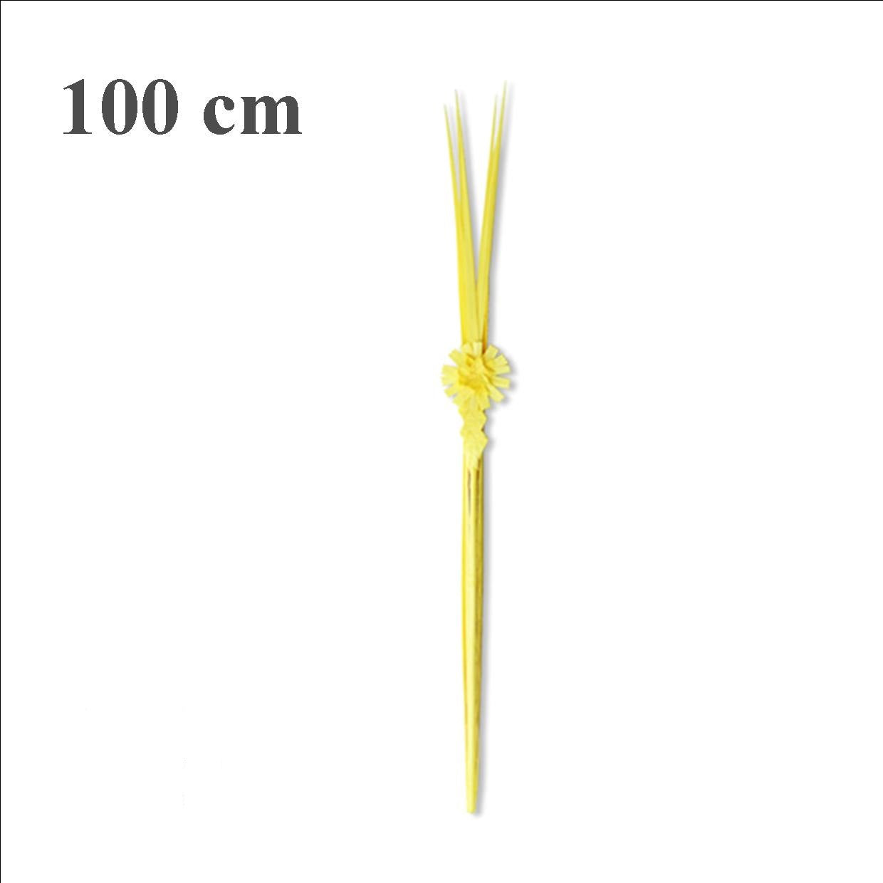 Palmas Domingo de Ramos Tienda Online. Palma blanca de Elche. – Palmas ...