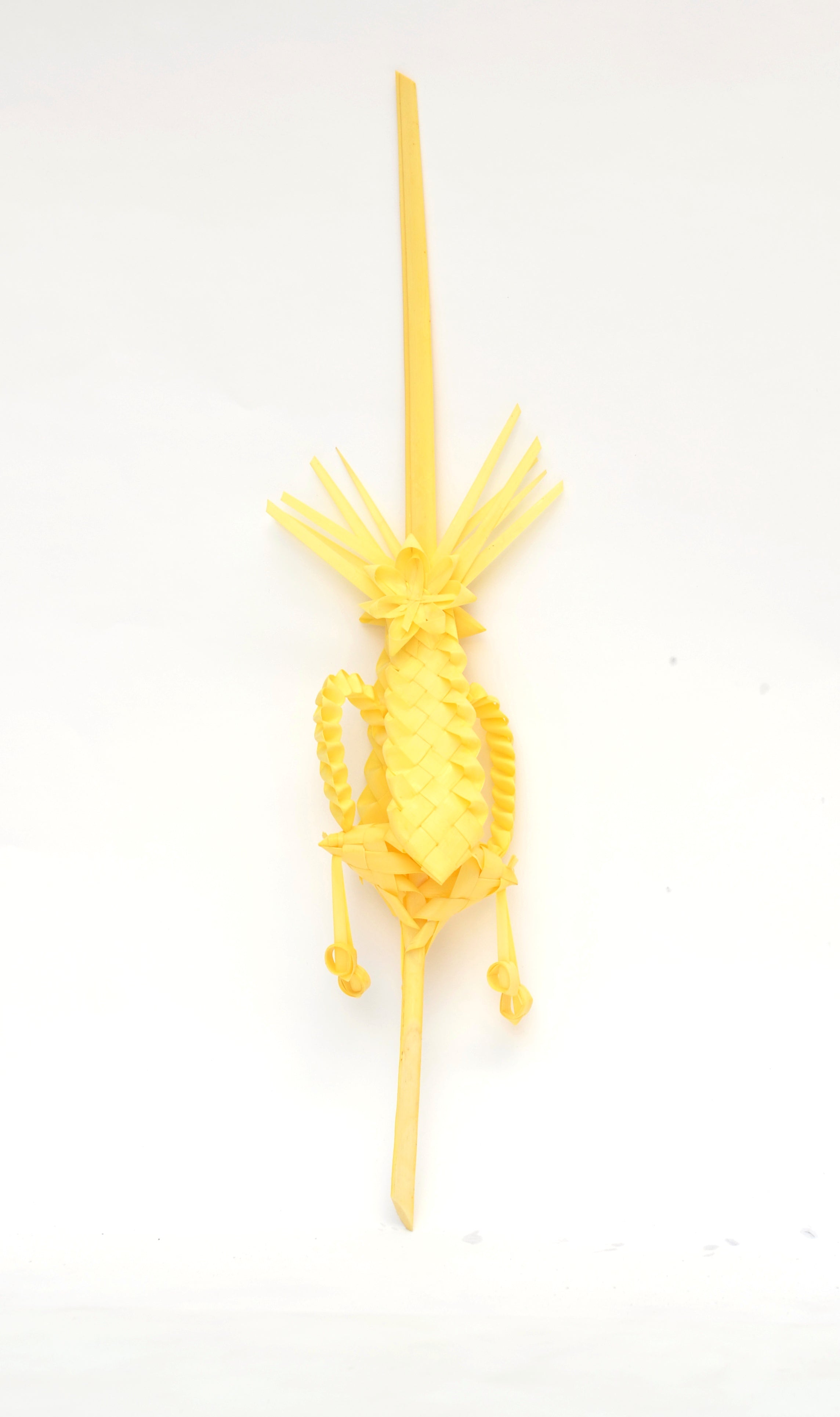 Palmas Domingo de Ramos Tienda Online. Palma blanca de Elche. – Palmas ...